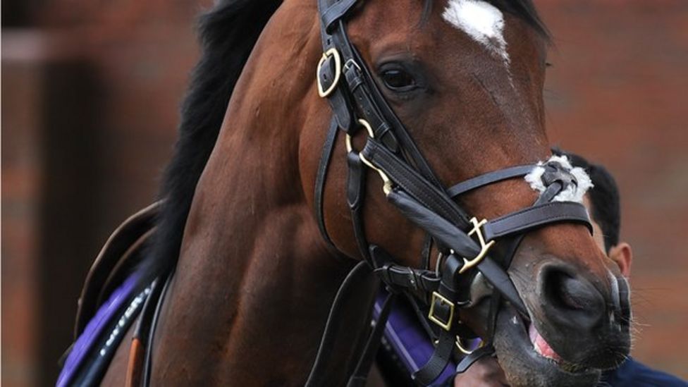 Frankel: Stud fee for stallion rises to £175,000 a time - BBC Sport