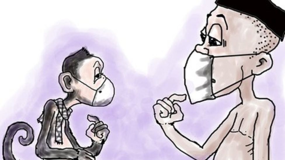 'Abused' Indonesian monkeys taken off Jakarta streets - BBC News