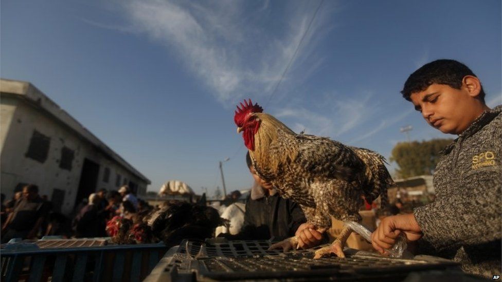 Day in pictures: 25 October 2013 - BBC News