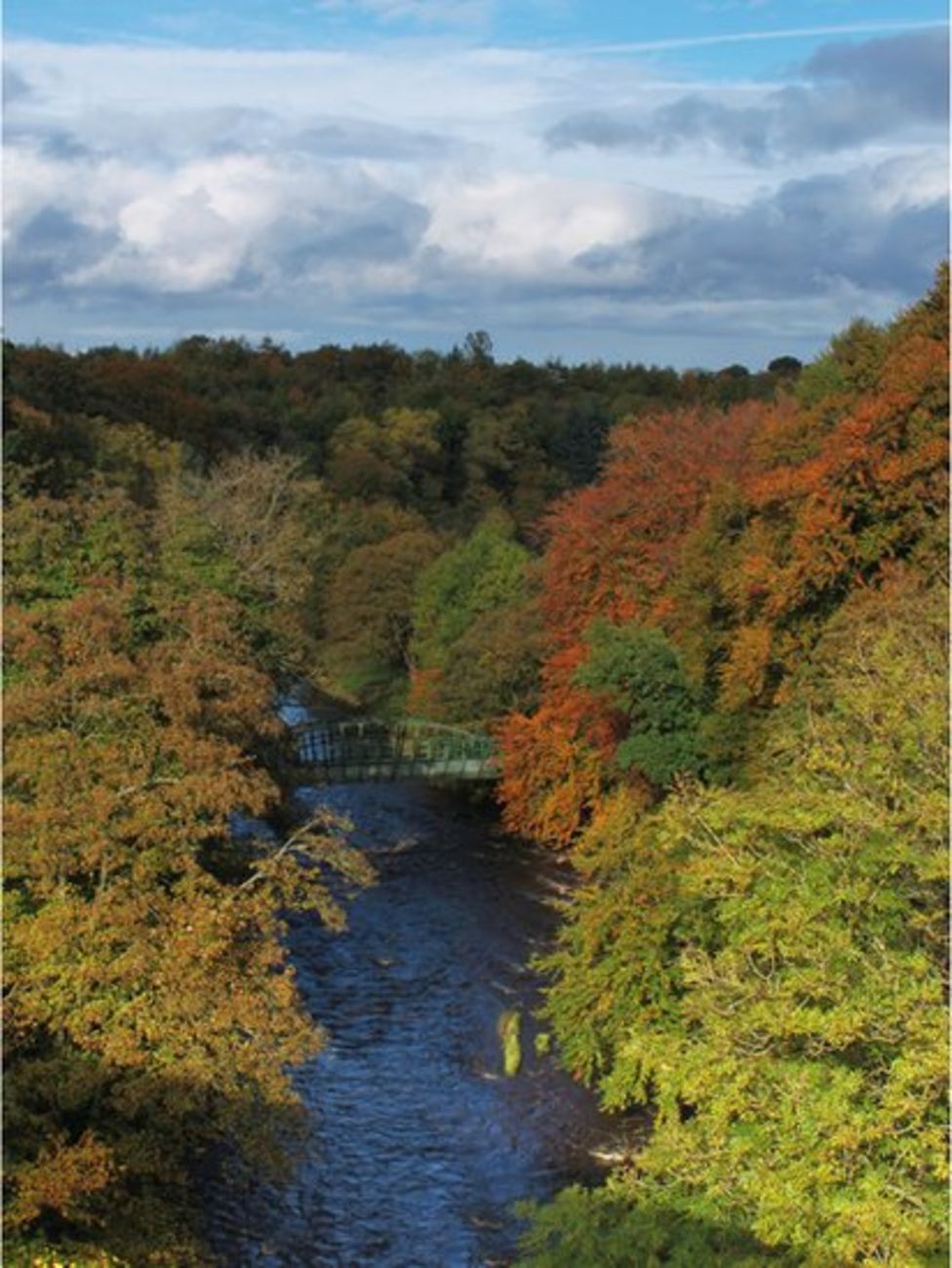 Your pictures of Scotland: 18 - 25 October - BBC News