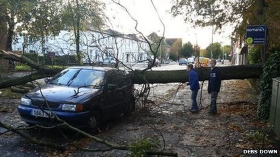 Trees uprooted in Hampshire and Isle of Wight by storms - BBC News