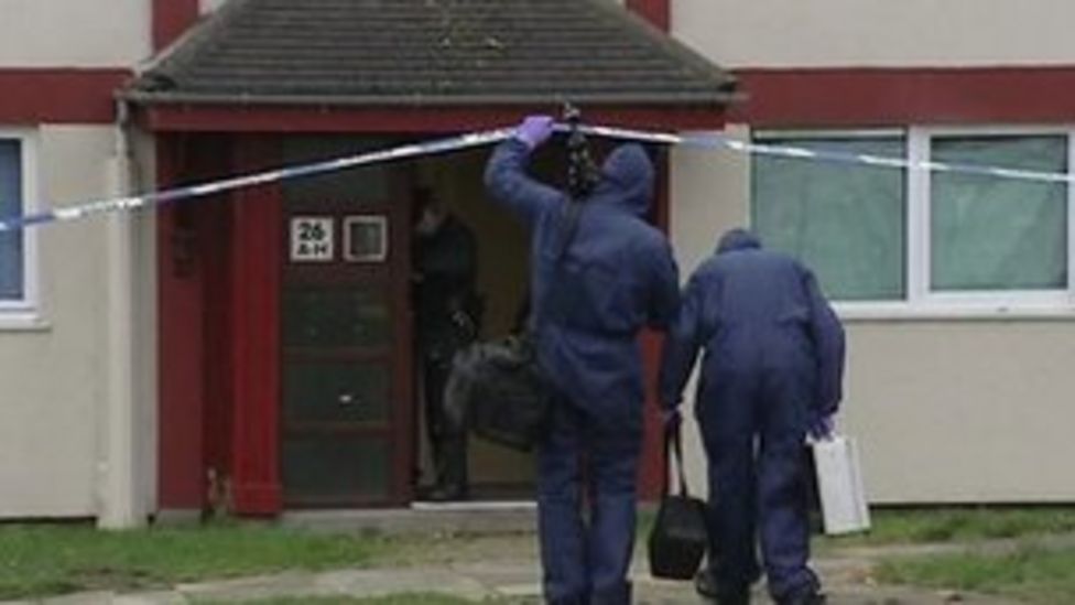 David Hamilton murder: Man arrested in Bangor - BBC News