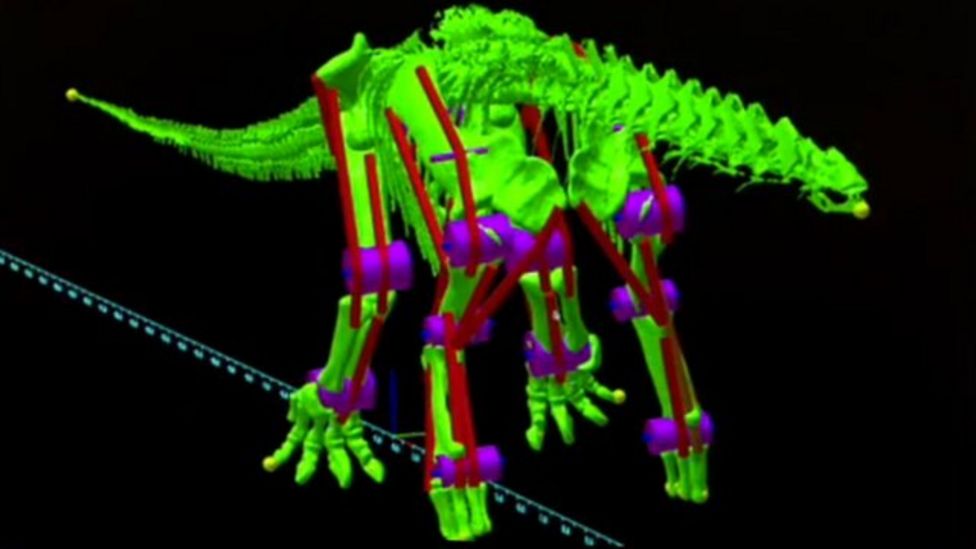 Dinosaur tracks: Prehistoric chase scene reconstructed - BBC News