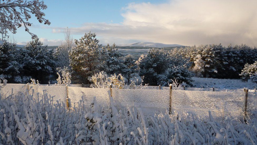 Your photos of wintry weather - BBC Weather