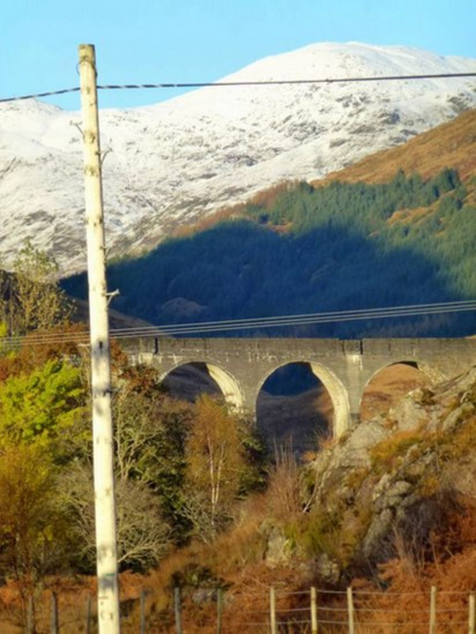 Your pictures of Scotland: 15 - 22 November - BBC News