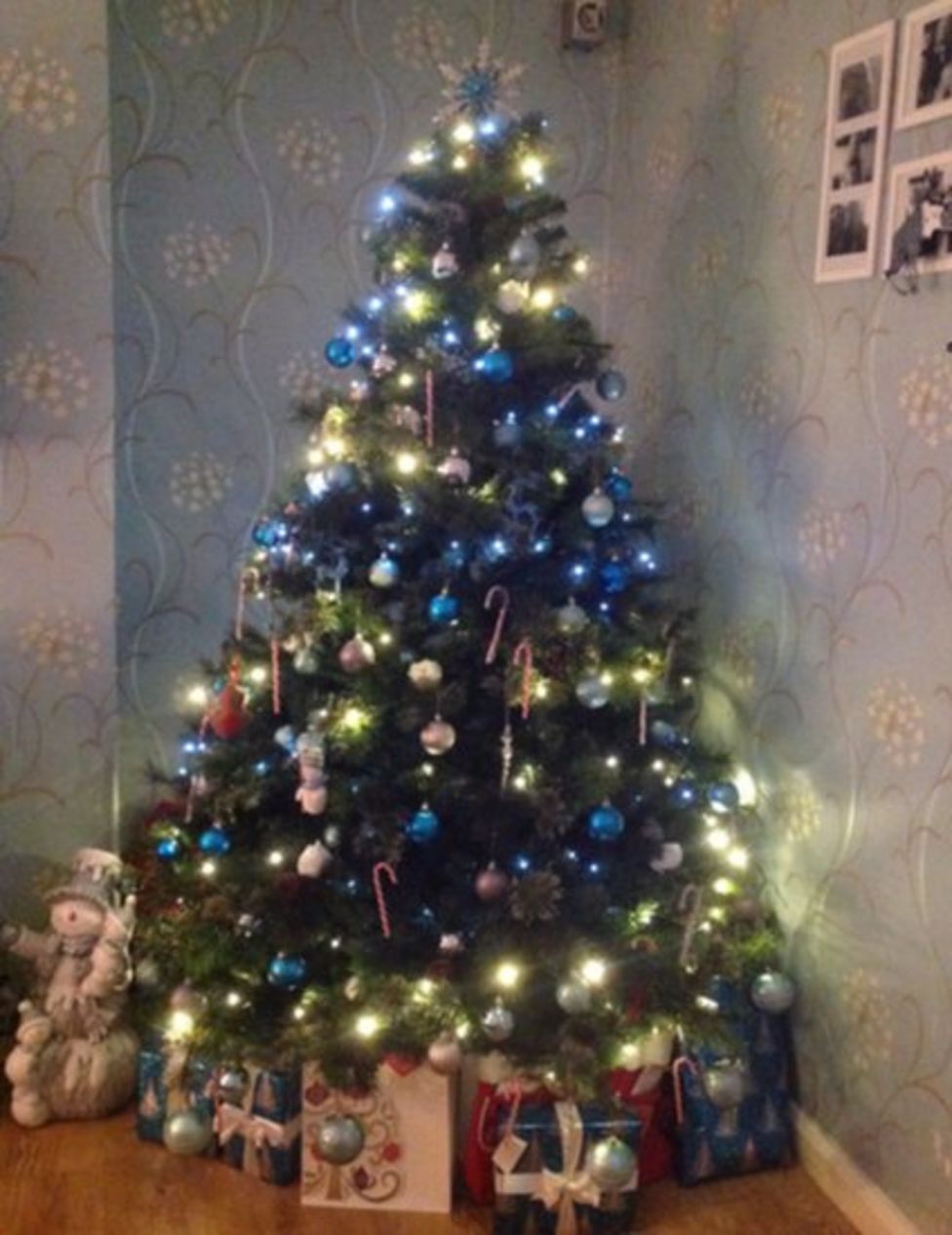 Your lovely Christmas tree snaps - BBC Newsround