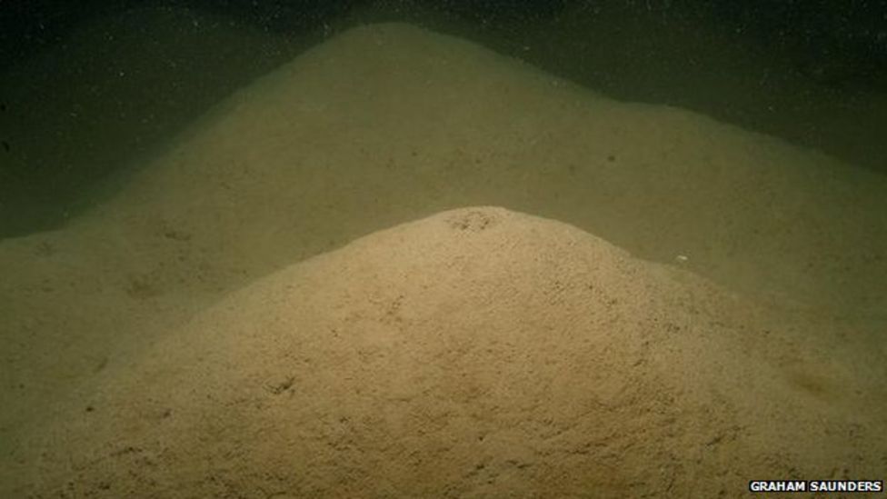 'UK's biggest' mud volcano worm habitat in Argyll loch - BBC News