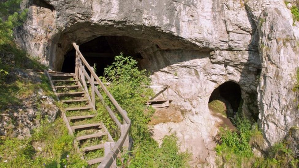 Neanderthals could speak like modern humans, study suggests - BBC News