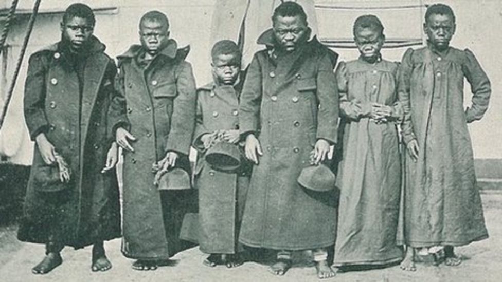 The Pygmies who visited Edwardian England - BBC News