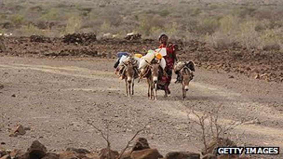 Djibouti profile - Timeline - BBC News