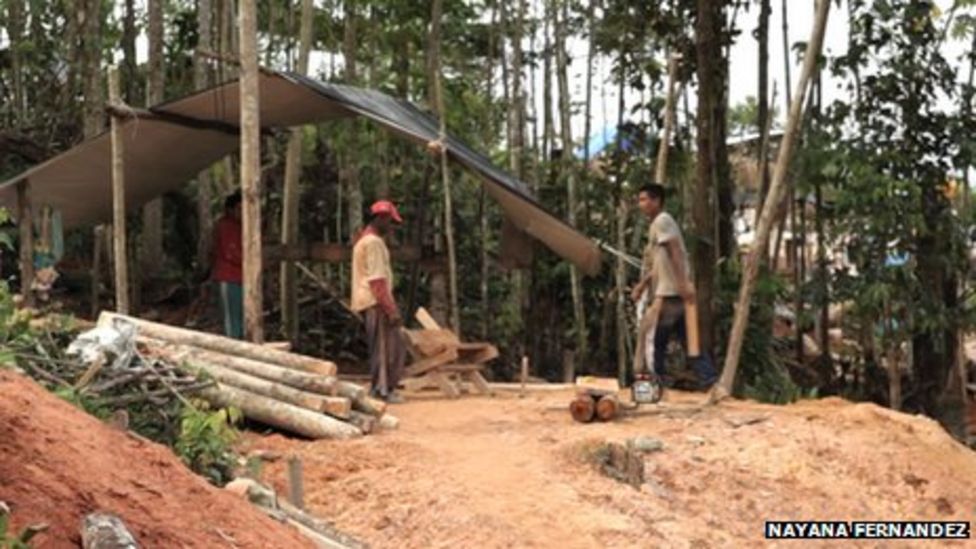 Amazon gold workers fight to stay in their mine - BBC News