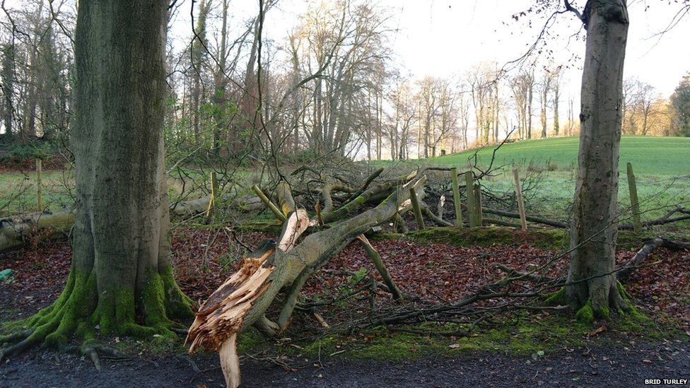 In pictures... New year storms batter Northern Ireland's coast - BBC News
