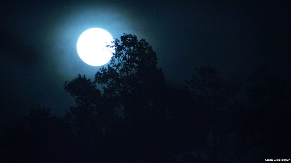 Your pictures: Long and dark nights - BBC News