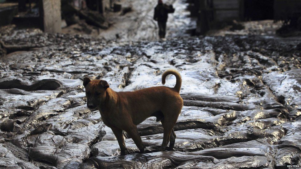 Pictures: Mount Sinabung volcano eruption continues - BBC Newsround