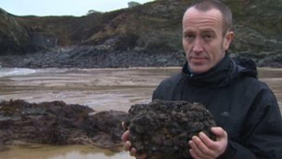Tests show 'rare ambergris' found on Anglesey is rubber - BBC News