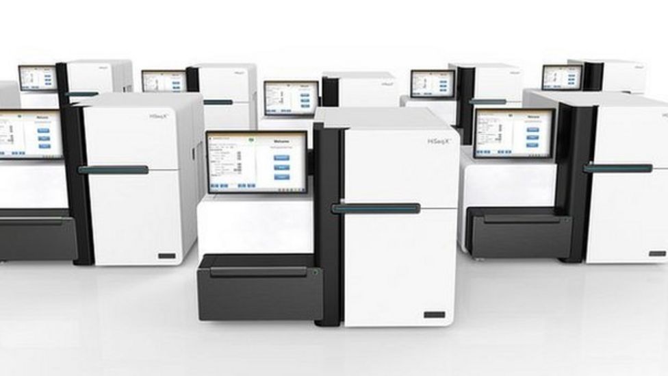 Testes 'most distinct human tissue' - BBC News