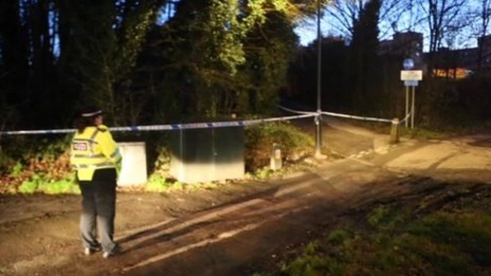 Fourth arrest over Crawley alley murder - BBC News