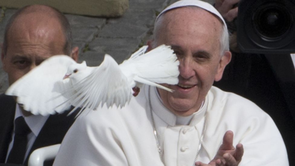 The birds that plague the Eternal City - BBC News