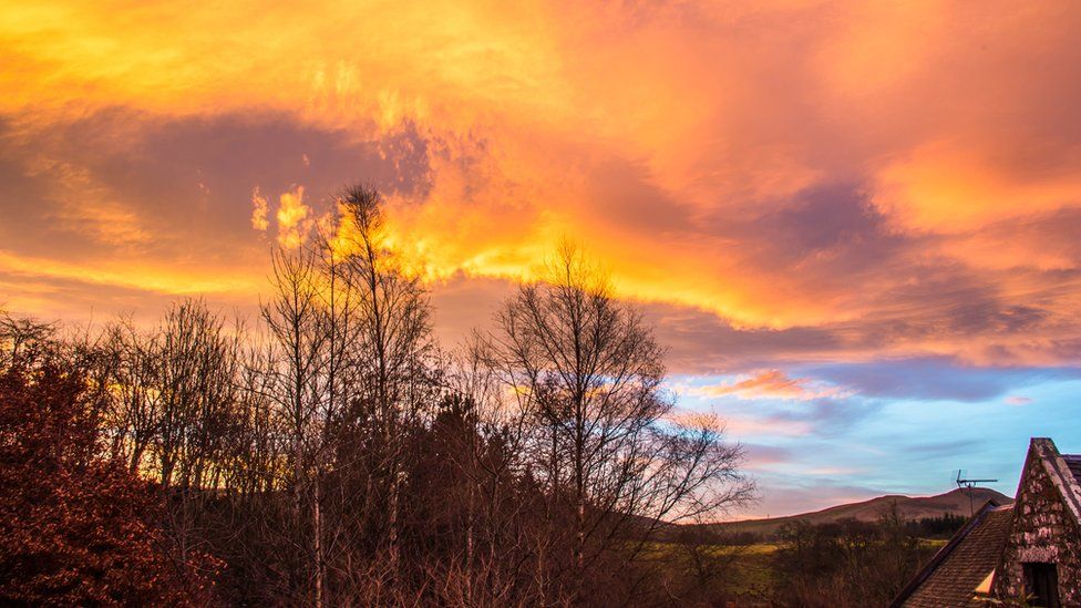 Your pictures of Scotland: 1 - 7 February - BBC News
