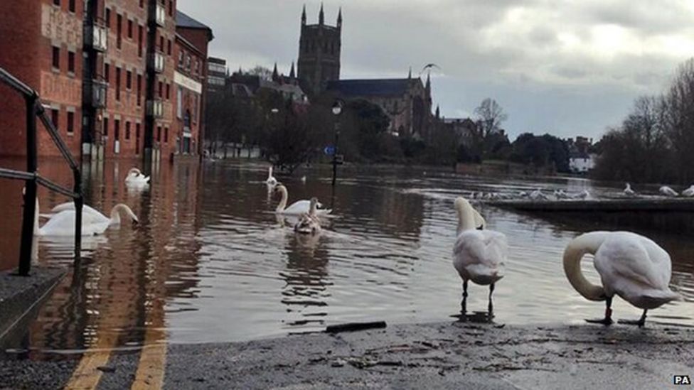 UK floods: Homes evacuated as swollen Thames keeps rising - BBC News