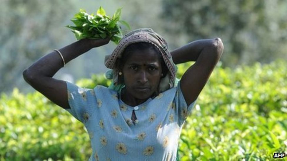 Tea industry's future depends on corporate collaboration - BBC News