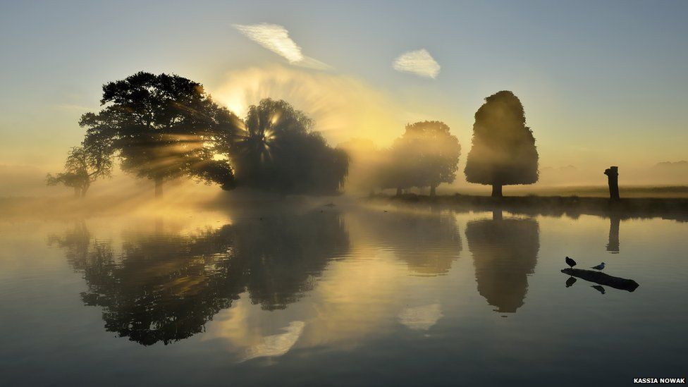Stunning pictures of garden scenes from all over the world - BBC Newsround