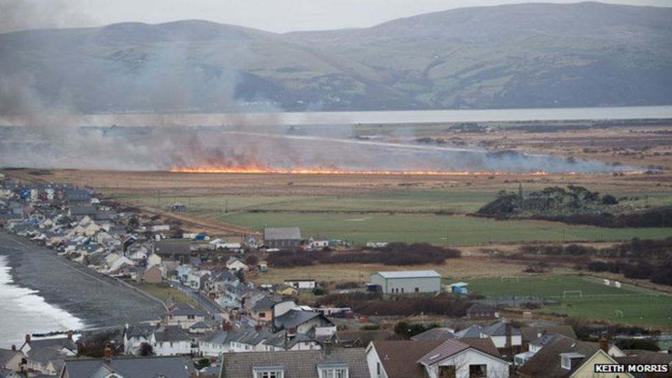 Borth bog fire burns out on Ceredigion coast - BBC News