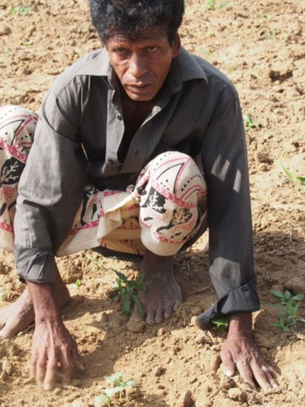 In pictures: Sri Lanka drought hits harvests - BBC News