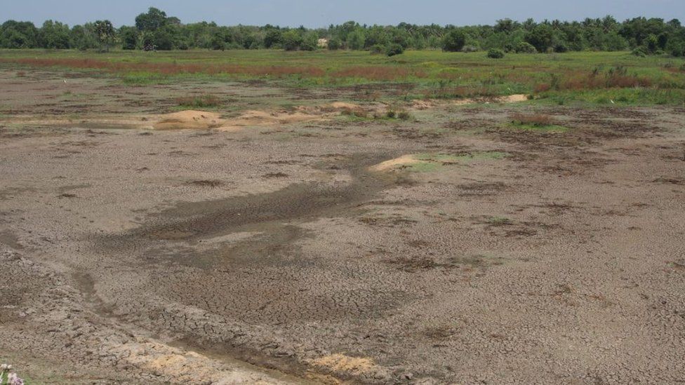 In pictures: Sri Lanka drought hits harvests - BBC News