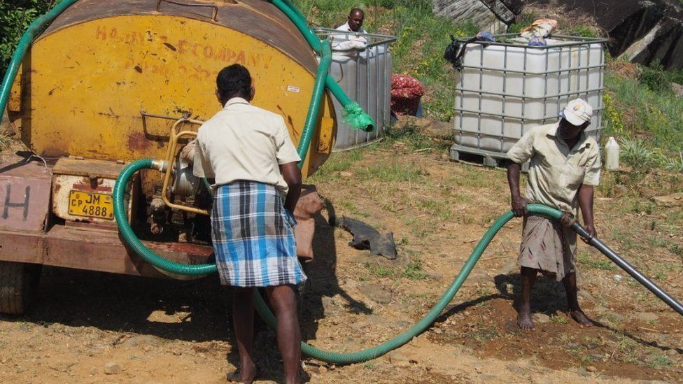 In pictures: Sri Lanka drought hits harvests - BBC News