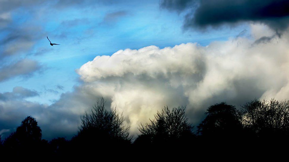 Your weather pictures - BBC Weather