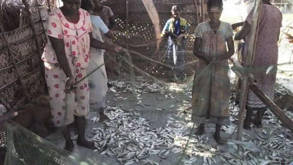 My Day: Sri Lankan fisherwoman - BBC News
