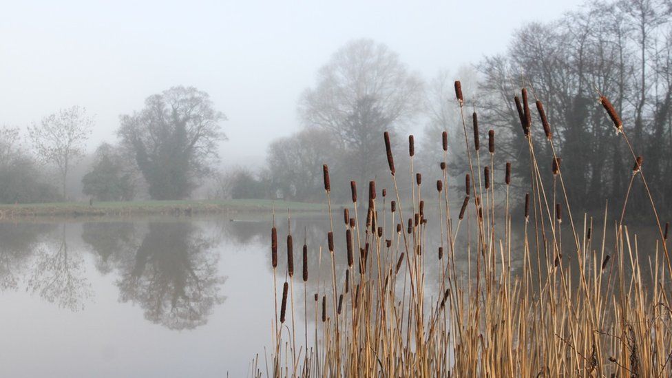 Your weather photos - BBC Weather