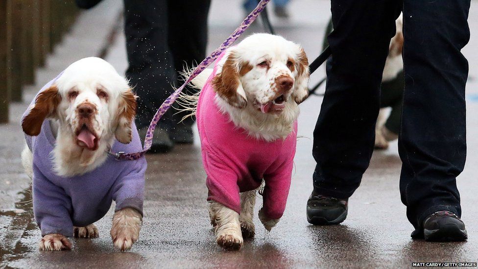 Day in pictures: 7 March 2014 - BBC News