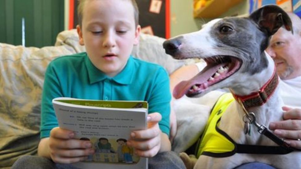 Children urged to read to dogs, perfect listeners - BBC News