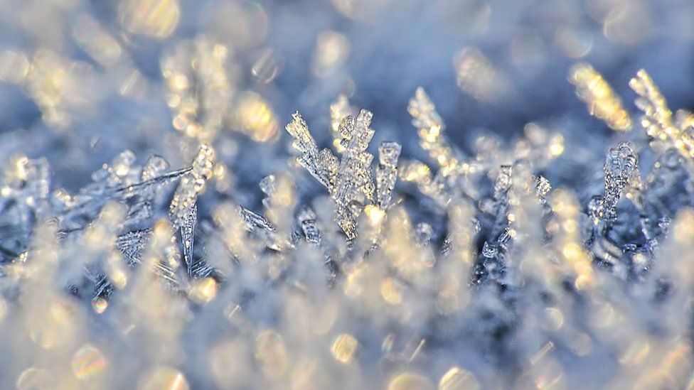 Your photos of recent UK weather - BBC Weather