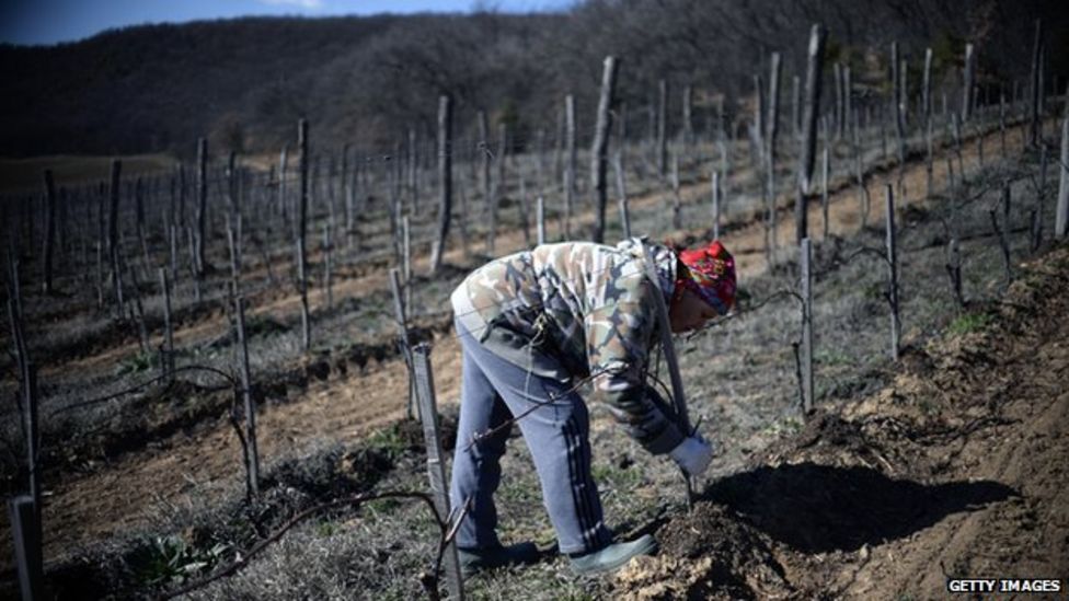 Ukraine economy: How bad is the mess and can it be fixed? - BBC News