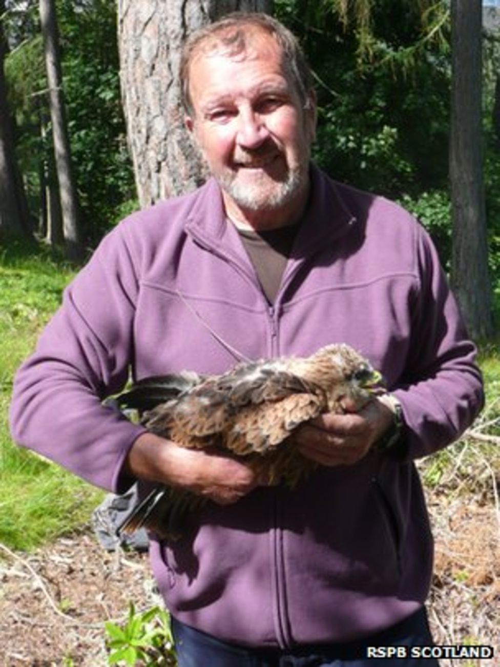 RSPB Scotland workers' anger and sadness at raptor deaths - BBC News