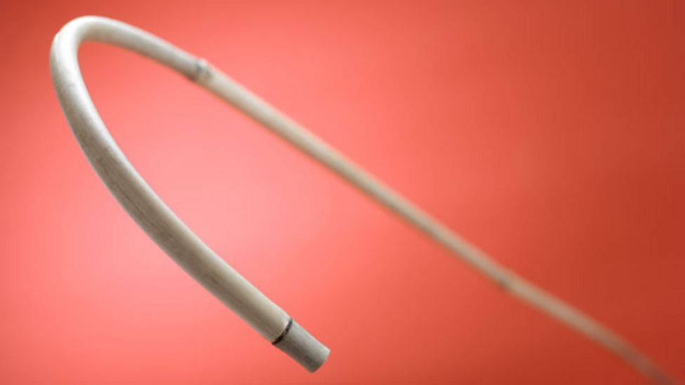 Malaysia's love for the cane is questioned - BBC News