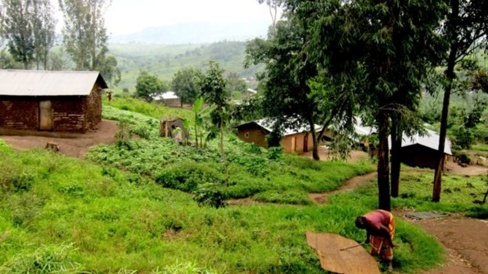 Rwanda genocide: 'Domino effect' in DR Congo - BBC News