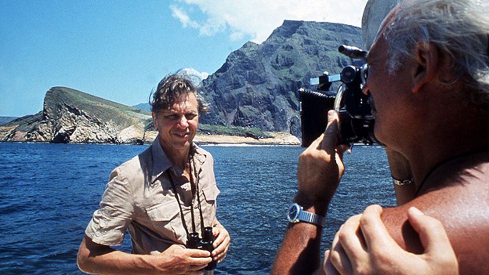 In Pictures: 50 landmark BBC Two shows - BBC News