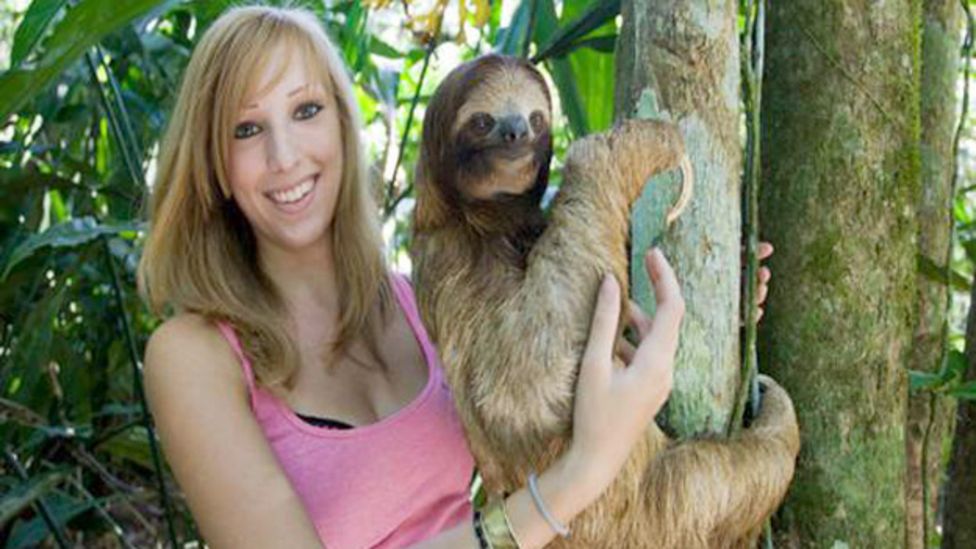 How sloths breathe upside down explained by scientists - BBC News