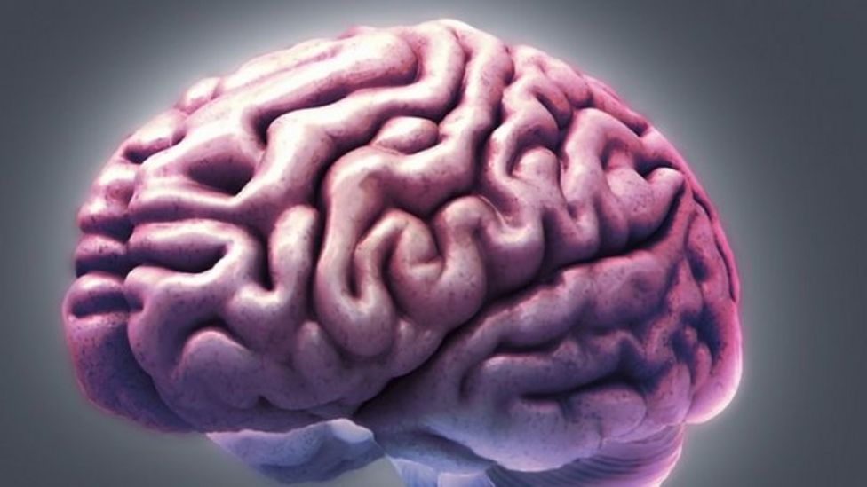 Personality linked to 'differences in brain structure' - BBC News