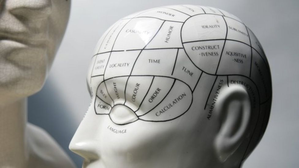 Does brain structure determine your political views? - BBC News