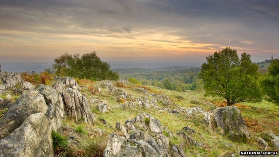 National Forest Way: Walkers invited to use 75-mile trail - BBC News
