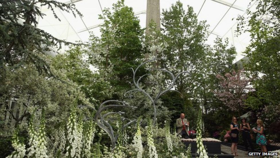Chelsea Flower Show: Getting youths into gardening - BBC News