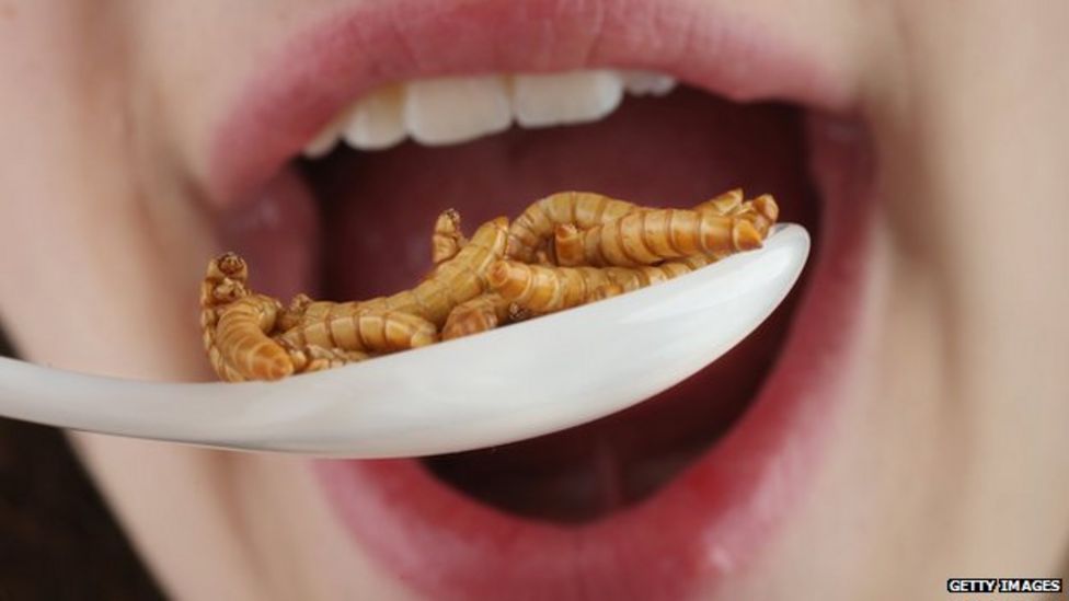 China: Volunteers test worm diet for astronauts - BBC News