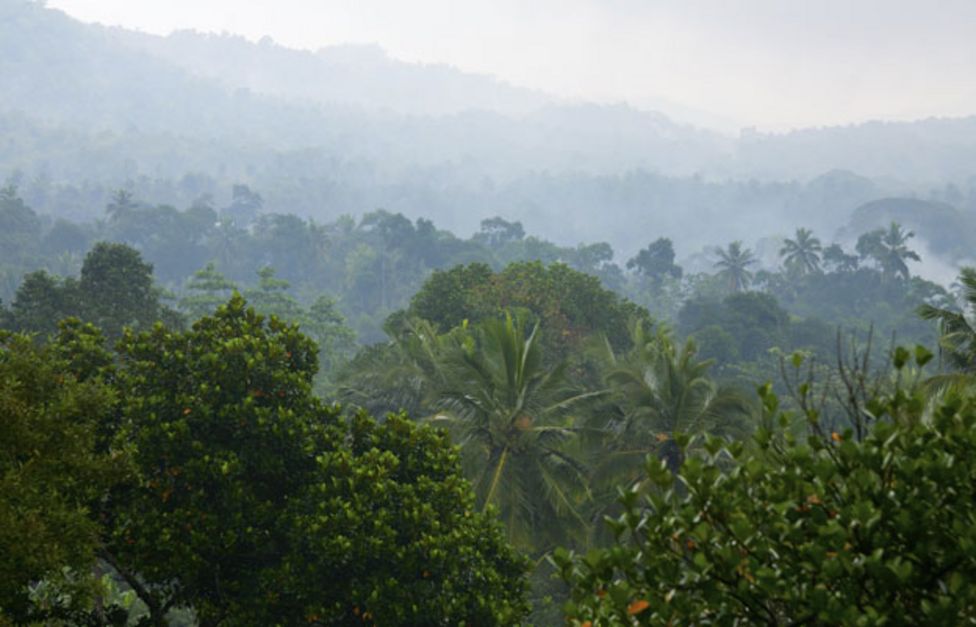 Leonard Woolf's forgotten Sri Lankan novel - BBC News