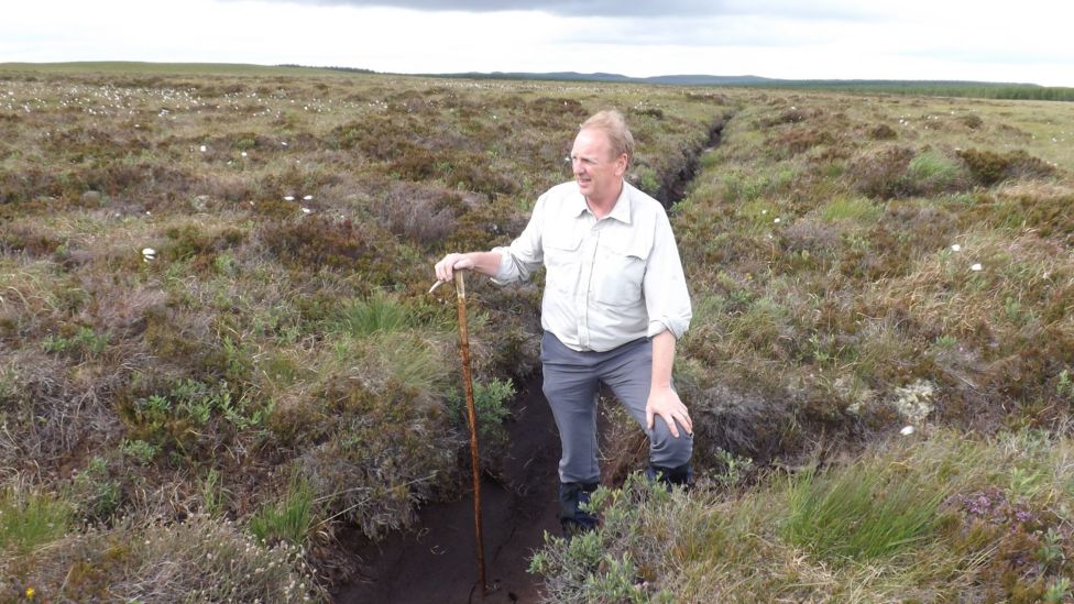 Protest held against SSE's Strathy South wind farm - BBC News