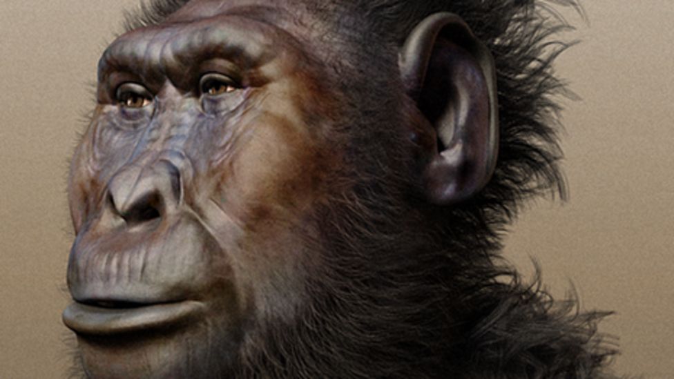 How facial features drive our first impressions - BBC News